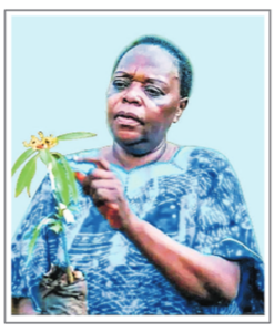 SOPHY MAREN NTOYAI - Death and Funeral Announcements in Kenya ...